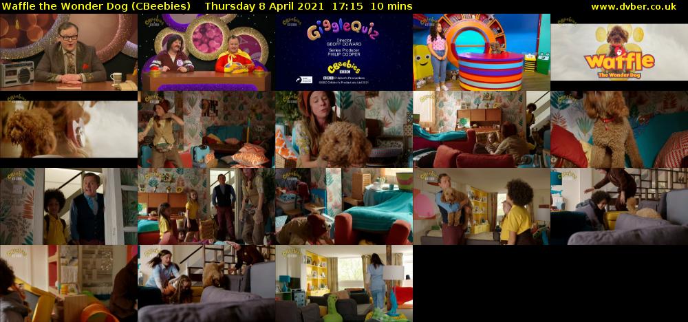 Waffle the Wonder Dog (CBeebies) - 2021-04-08-1715