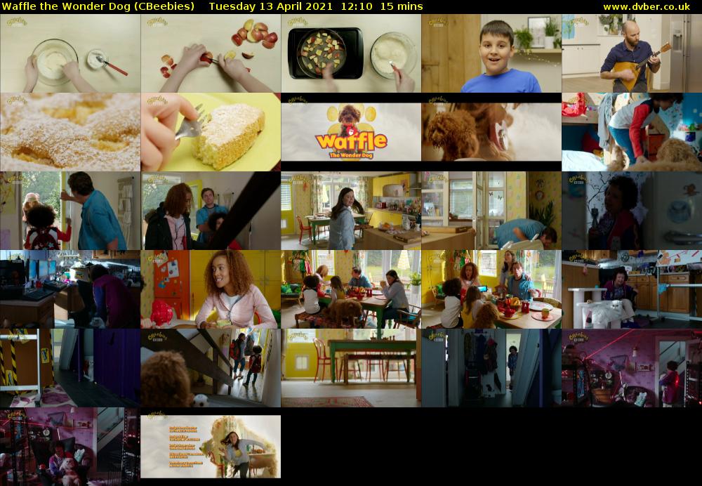 Waffle the Wonder Dog (CBeebies) - 2021-04-13-1210