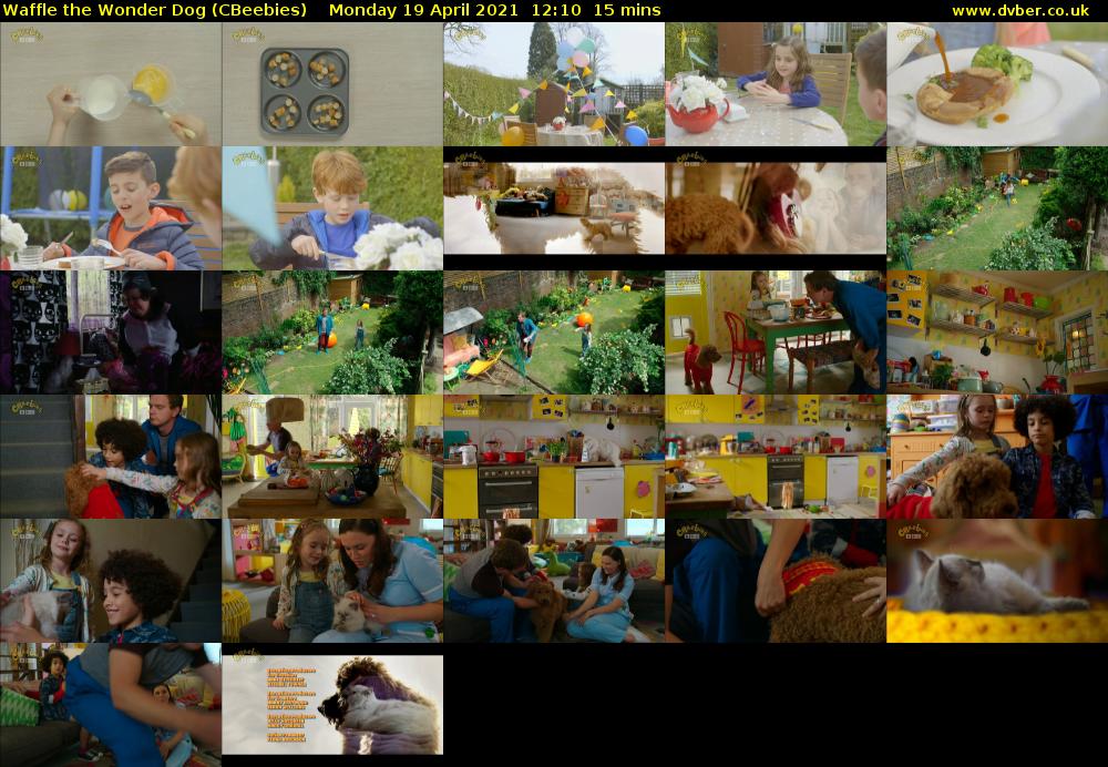 Waffle the Wonder Dog (CBeebies) - 2021-04-19-1210