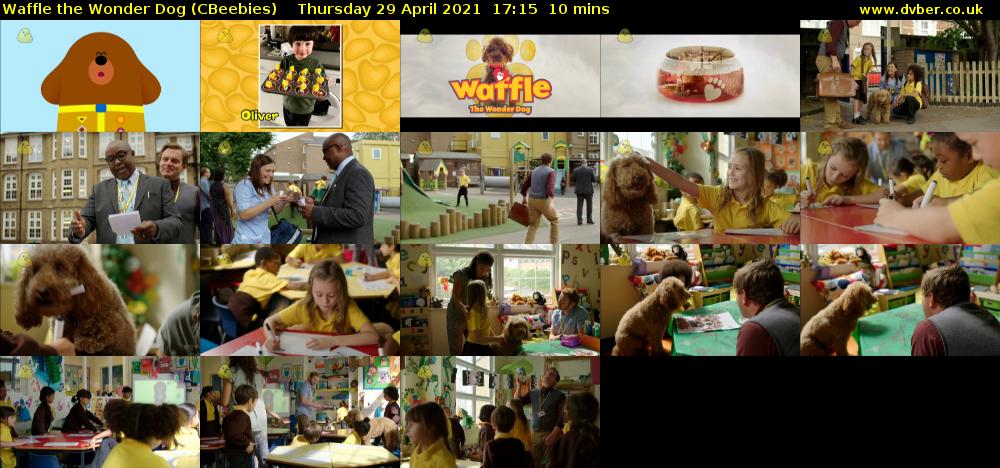 Waffle the Wonder Dog (CBeebies) - 2021-04-29-1715