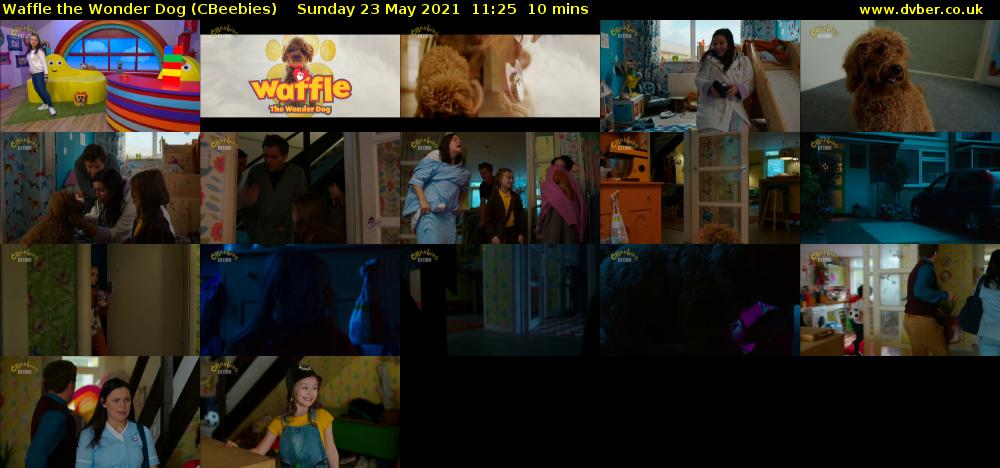 Waffle the Wonder Dog (CBeebies) - 2021-05-23-1125
