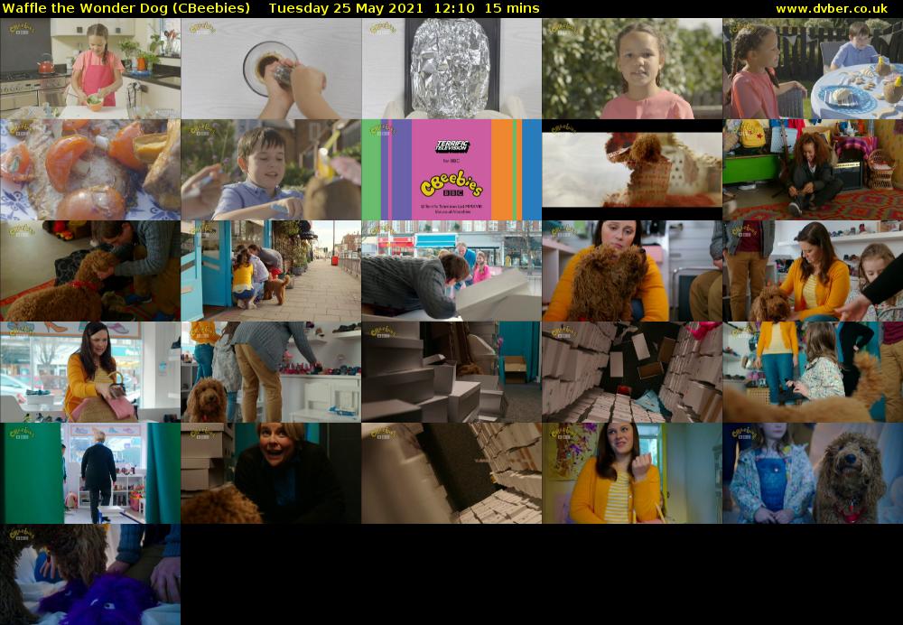 Waffle the Wonder Dog (CBeebies) - 2021-05-25-1210