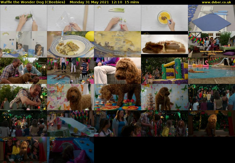 Waffle the Wonder Dog (CBeebies) - 2021-05-31-1210