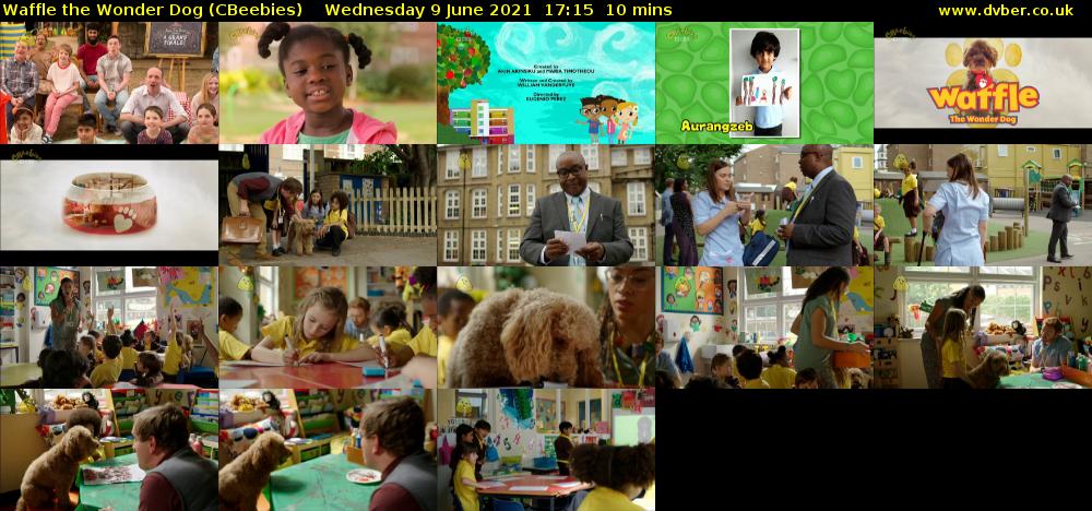 Waffle the Wonder Dog (CBeebies) - 2021-06-09-1715
