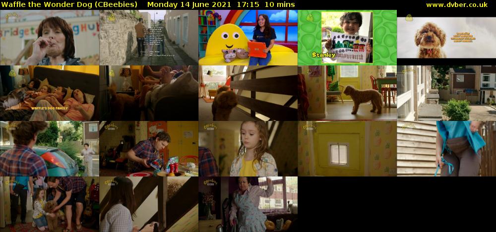 Waffle the Wonder Dog (CBeebies) - 2021-06-14-1715