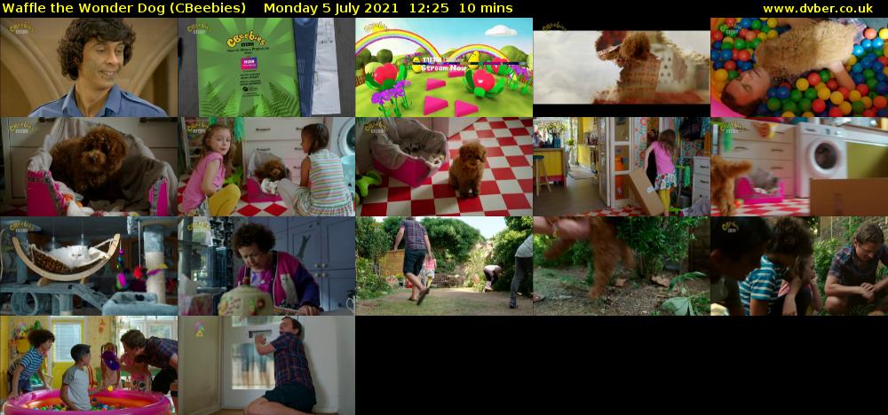 Waffle the Wonder Dog (CBeebies) - 2021-07-05-1225