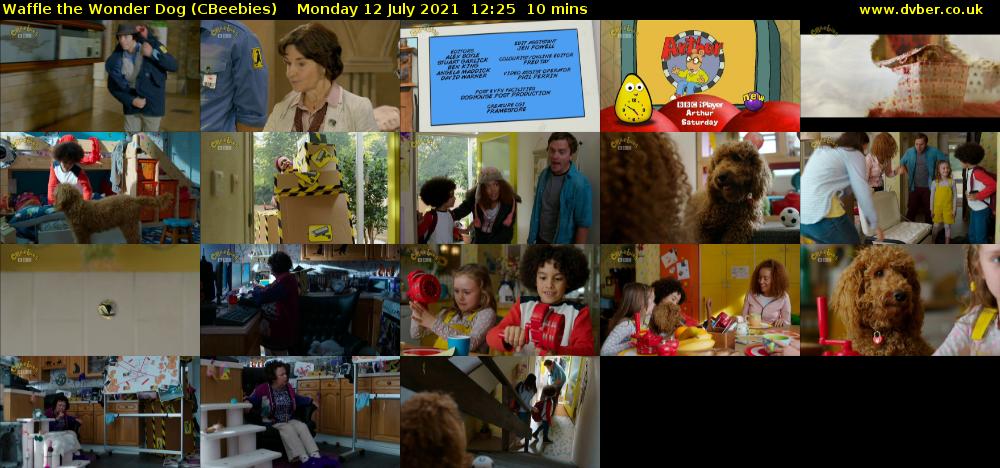Waffle the Wonder Dog (CBeebies) - 2021-07-12-1225