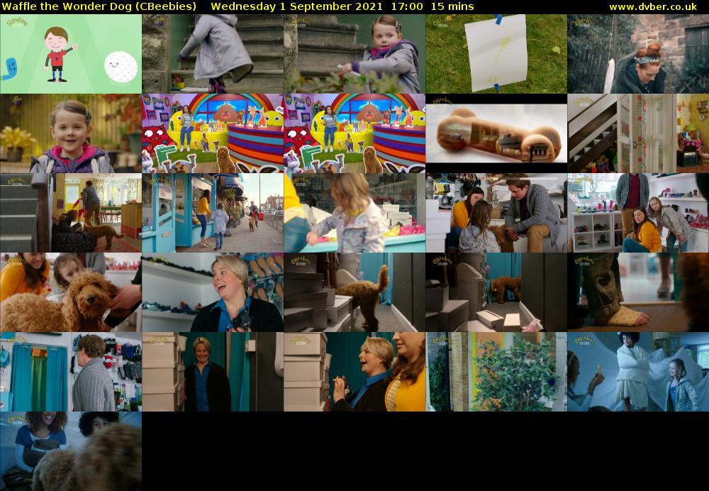 Waffle the Wonder Dog (CBeebies) - 2021-09-01-1700