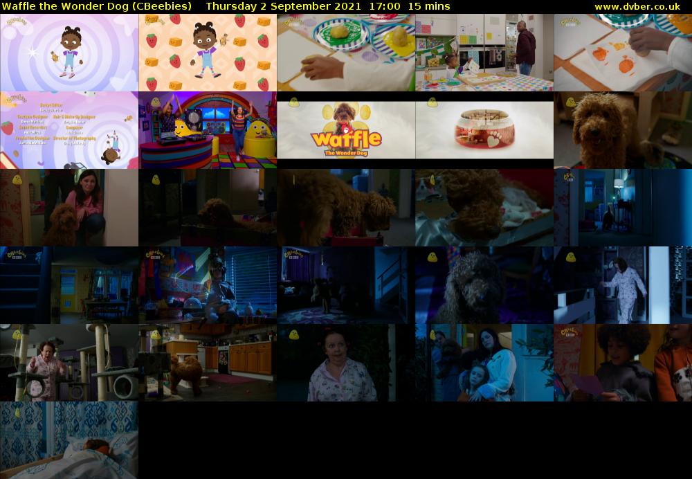 Waffle the Wonder Dog (CBeebies) - 2021-09-02-1700