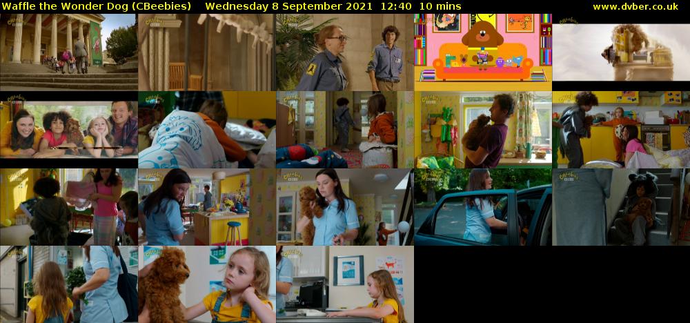 Waffle the Wonder Dog (CBeebies) - 2021-09-08-1240