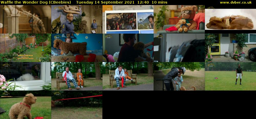 Waffle the Wonder Dog (CBeebies) - 2021-09-14-1240