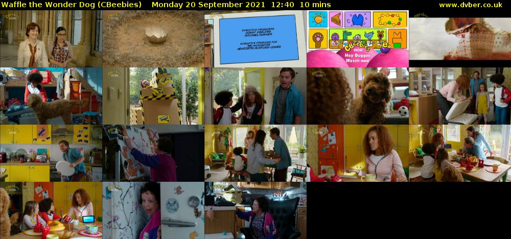 Waffle the Wonder Dog (CBeebies) - 2021-09-20-1240