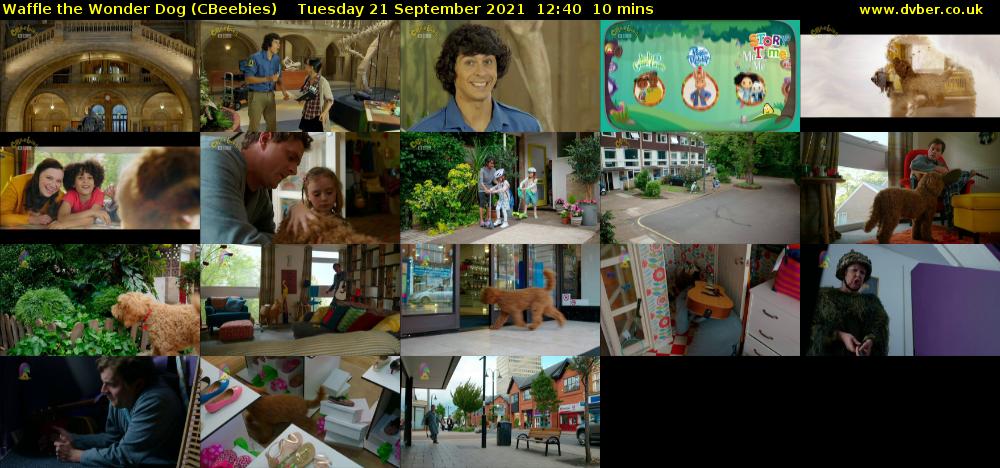 Waffle the Wonder Dog (CBeebies) - 2021-09-21-1240