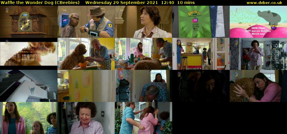 Waffle the Wonder Dog (CBeebies) - 2021-09-29-1240