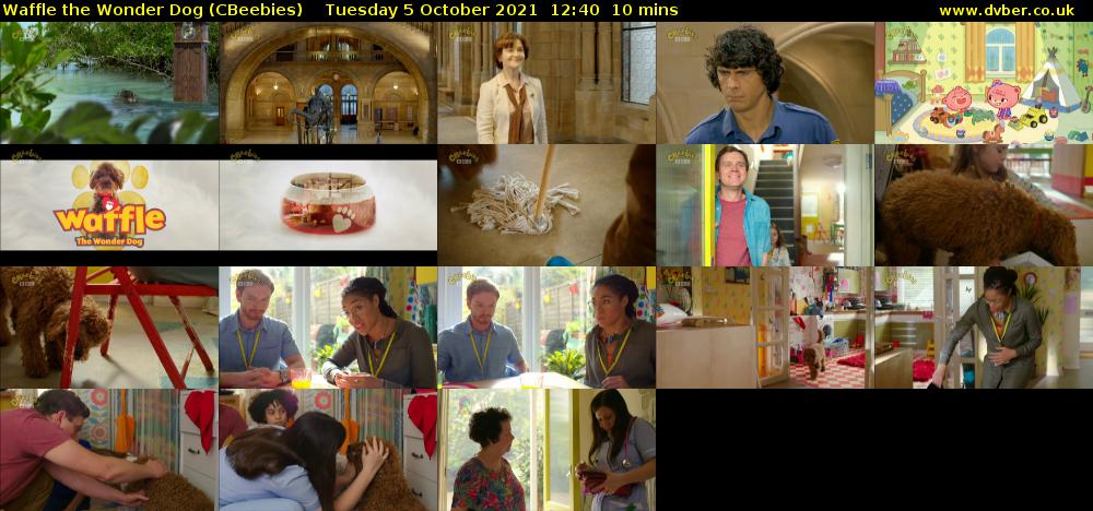Waffle the Wonder Dog (CBeebies) - 2021-10-05-1240