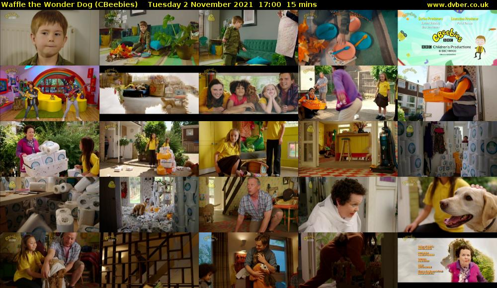 Waffle the Wonder Dog (CBeebies) - 2021-11-02-1700