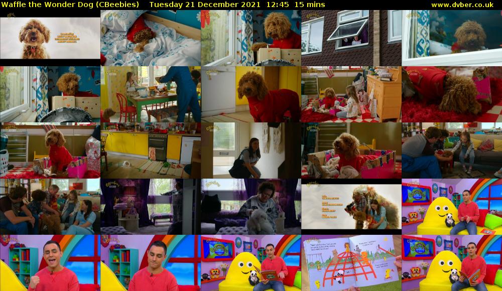 Waffle the Wonder Dog (CBeebies) - 2021-12-21-1245