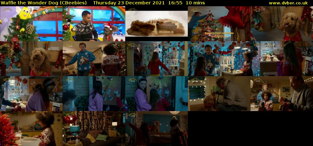 Waffle the Wonder Dog (CBeebies) - 2021-12-23-1655