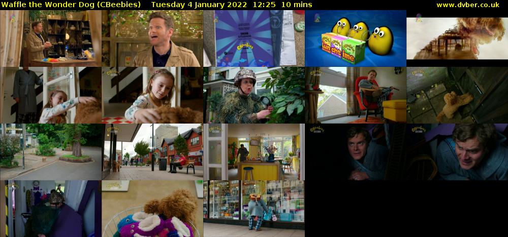 Waffle the Wonder Dog (CBeebies) - 2022-01-04-1225