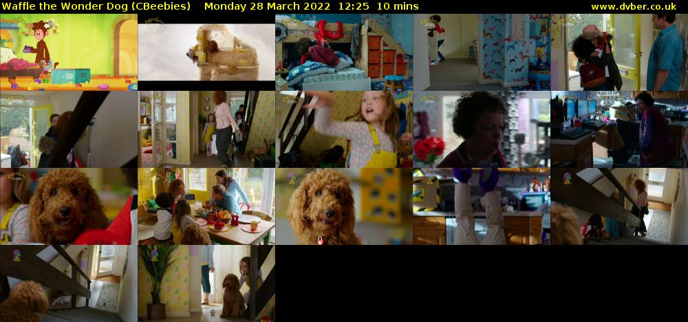 Waffle the Wonder Dog (CBeebies) - 2022-03-28-1225