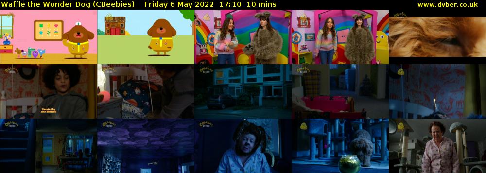 Waffle the Wonder Dog (CBeebies) - 2022-05-06-1710