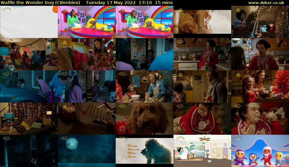 Waffle the Wonder Dog (CBeebies) - 2022-05-17-1710