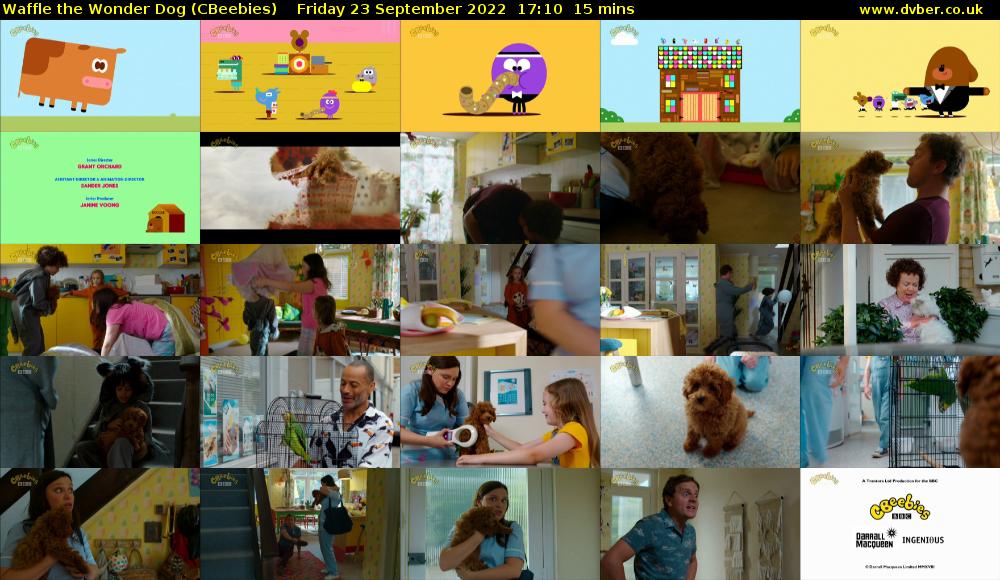 Waffle the Wonder Dog (CBeebies) - 2022-09-23-1710