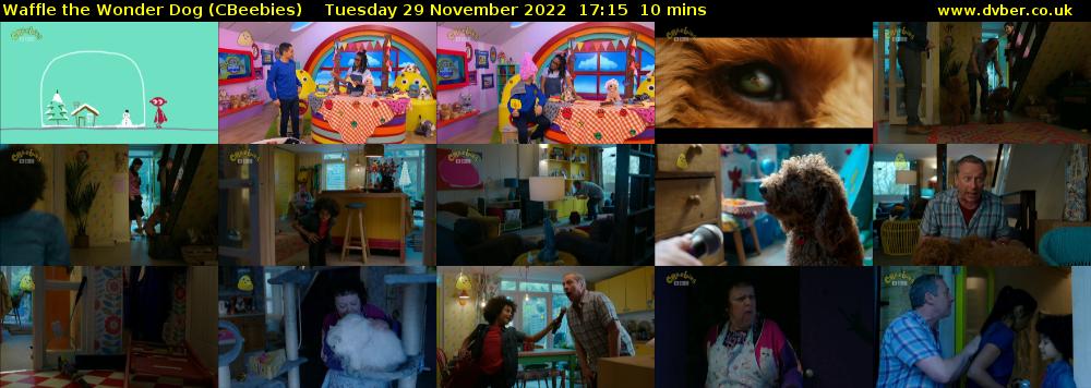 Waffle the Wonder Dog (CBeebies) - 2022-11-29-1715