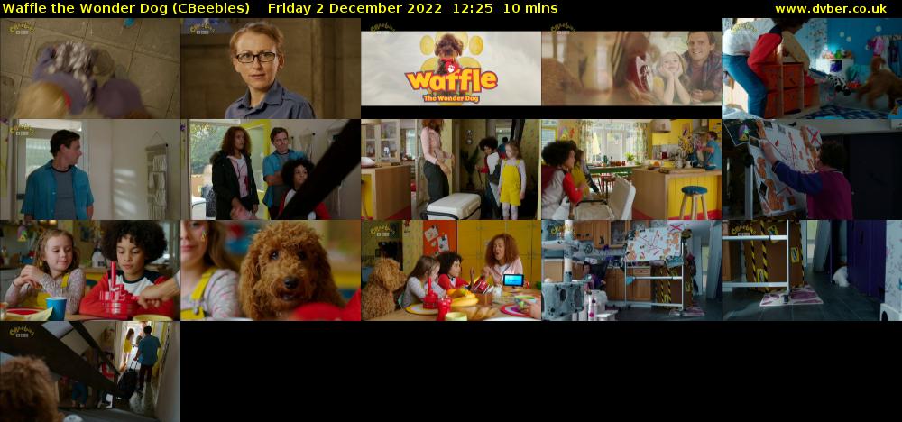 Waffle the Wonder Dog (CBeebies) - 2022-12-02-1225