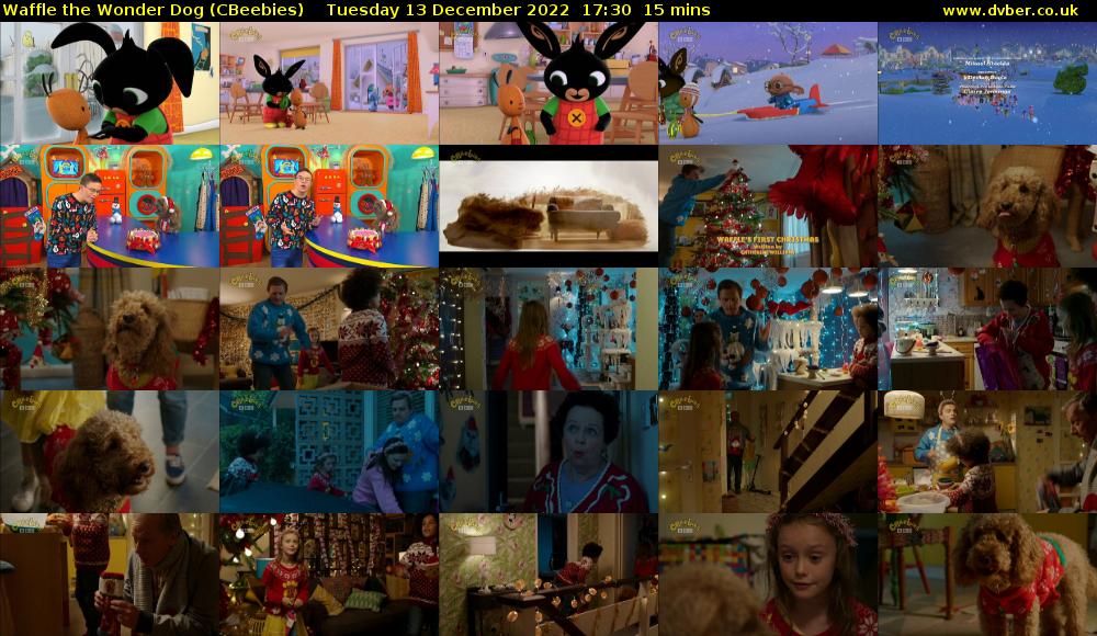 Waffle the Wonder Dog (CBeebies) - 2022-12-13-1730