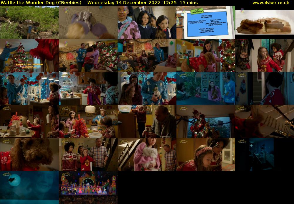 Waffle the Wonder Dog (CBeebies) - 2022-12-14-1225