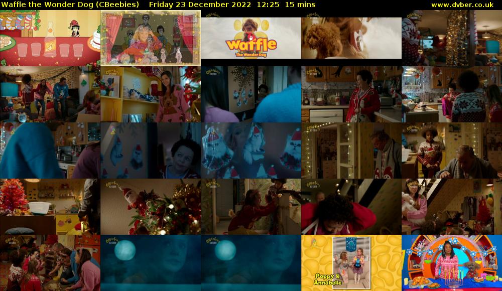 Waffle the Wonder Dog (CBeebies) - 2022-12-23-1225