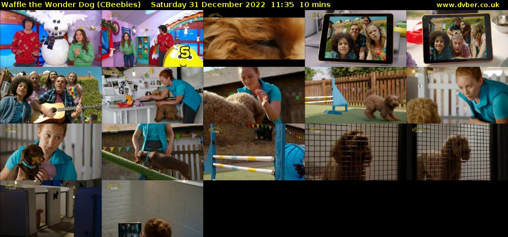 Waffle the Wonder Dog (CBeebies) - 2022-12-31-1135
