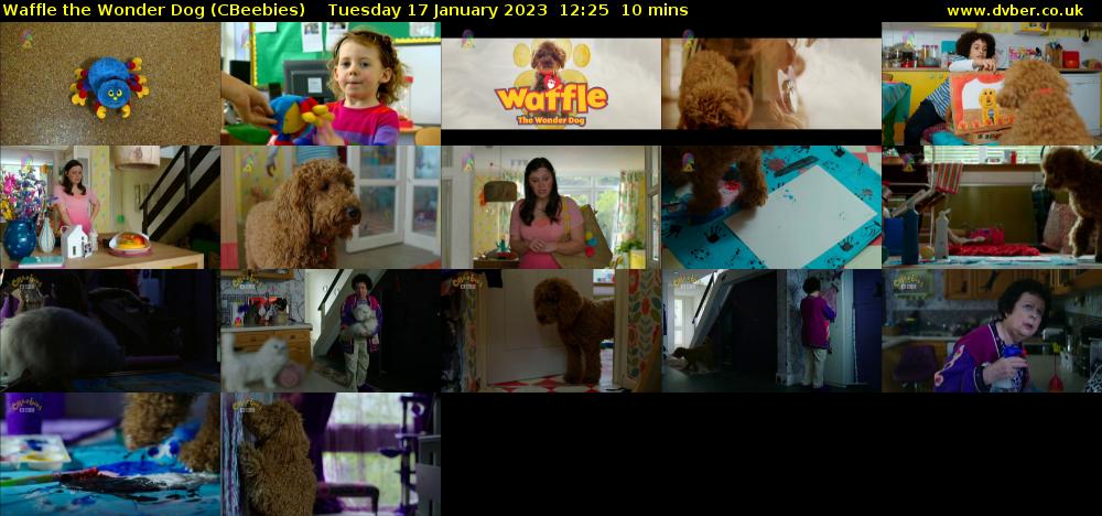 Waffle the Wonder Dog (CBeebies) - 2023-01-17-1225