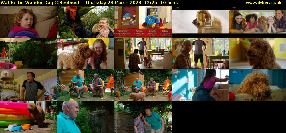 Waffle the Wonder Dog (CBeebies) - 2023-03-23-1225