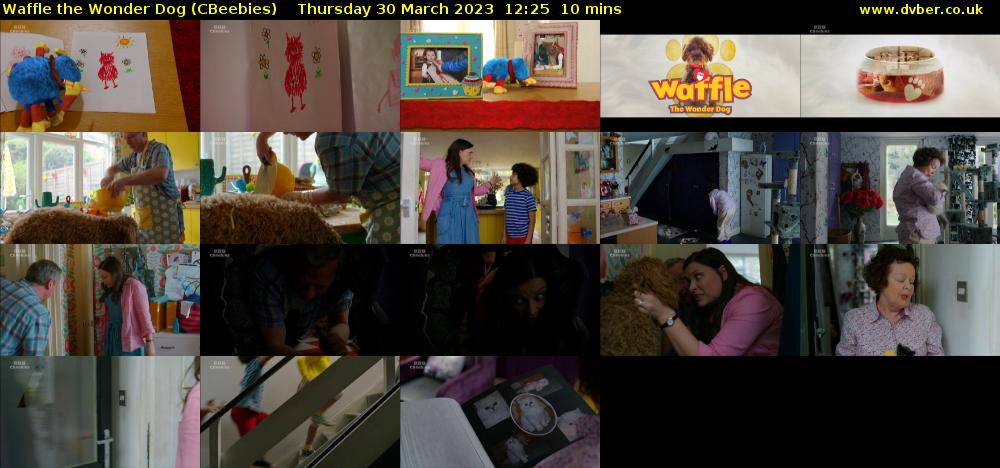 Waffle the Wonder Dog (CBeebies) - 2023-03-30-1225