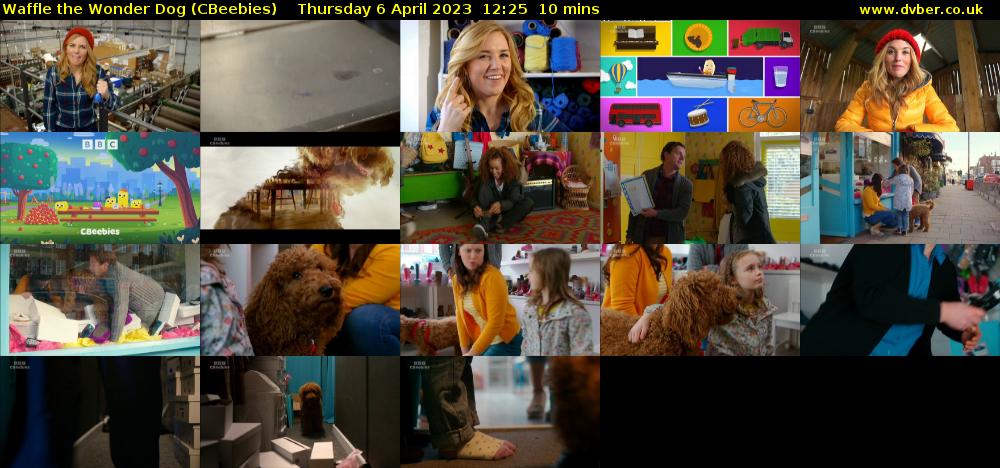 Waffle the Wonder Dog (CBeebies) - 2023-04-06-1225