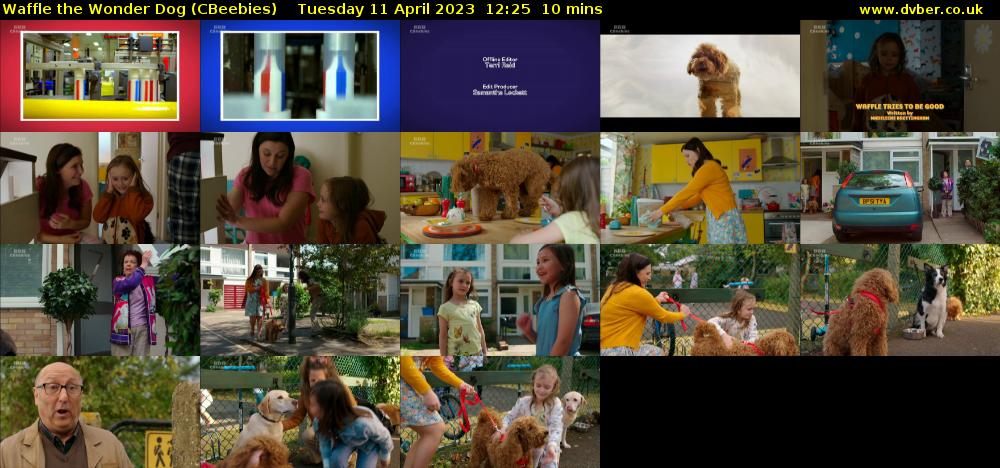 Waffle the Wonder Dog (CBeebies) - 2023-04-11-1225