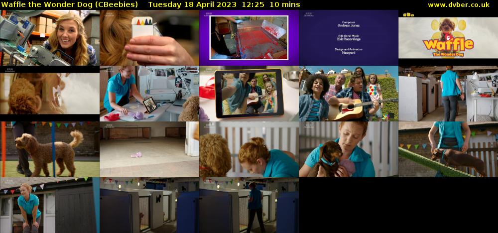 Waffle the Wonder Dog (CBeebies) - 2023-04-18-1225