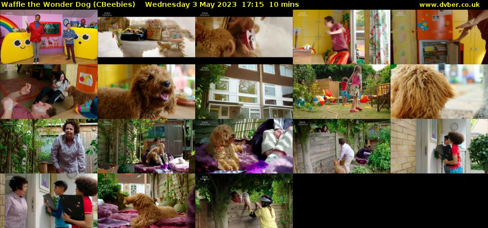 Waffle the Wonder Dog (CBeebies) - 2023-05-03-1715