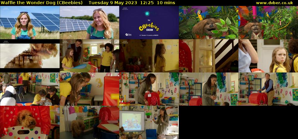 Waffle the Wonder Dog (CBeebies) - 2023-05-09-1225