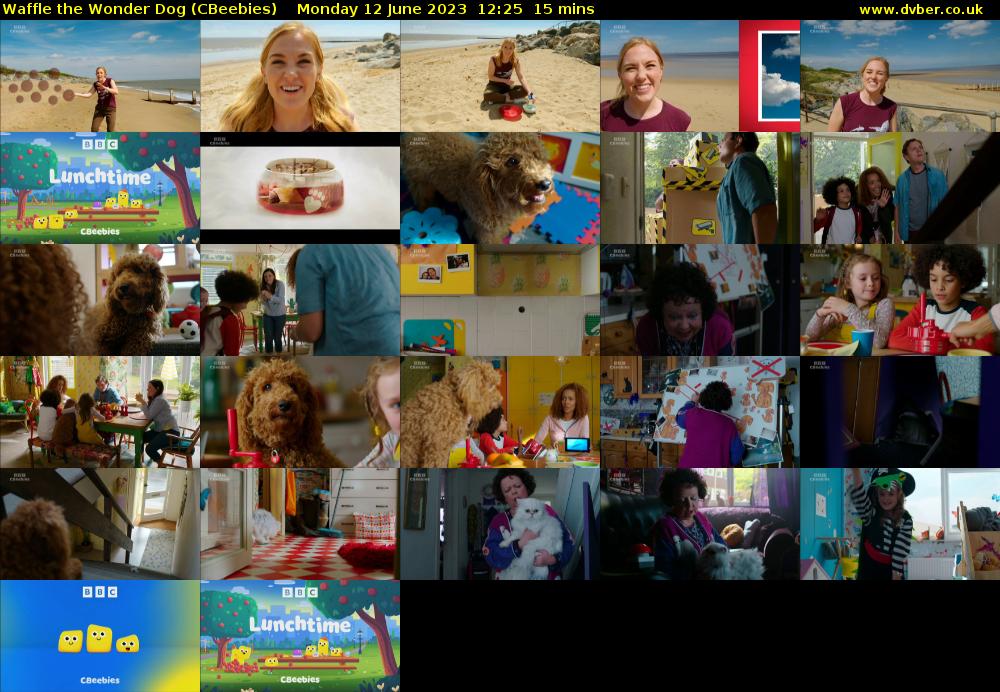 Waffle the Wonder Dog (CBeebies) - 2023-06-12-1225