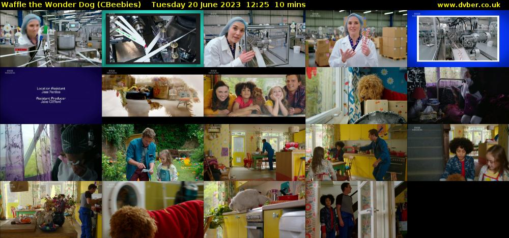 Waffle the Wonder Dog (CBeebies) - 2023-06-20-1225