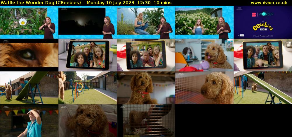 Waffle the Wonder Dog (CBeebies) - 2023-07-10-1230