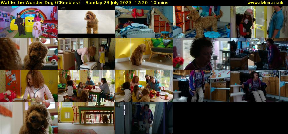 Waffle the Wonder Dog (CBeebies) - 2023-07-23-1720