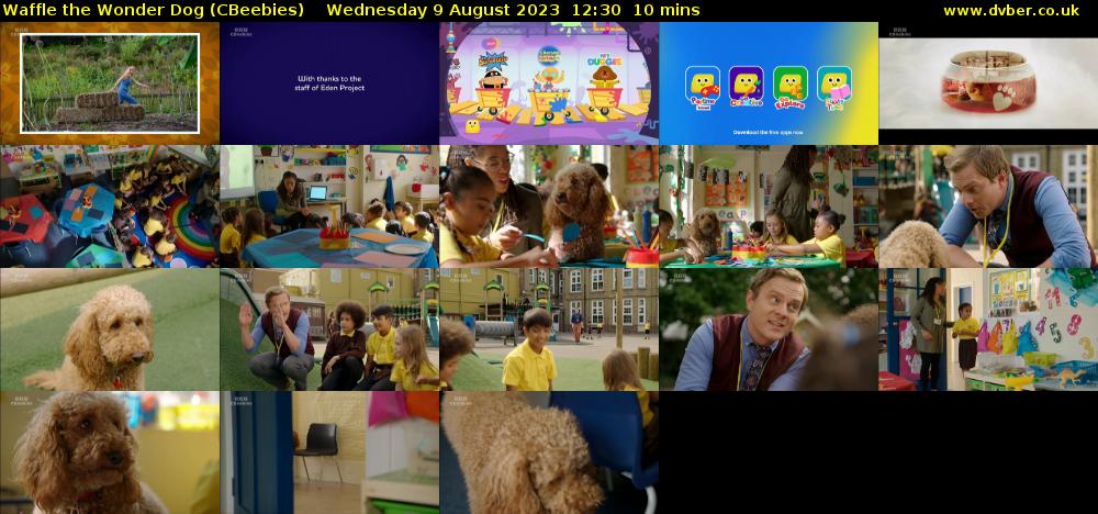 Waffle the Wonder Dog (CBeebies) - 2023-08-09-1230
