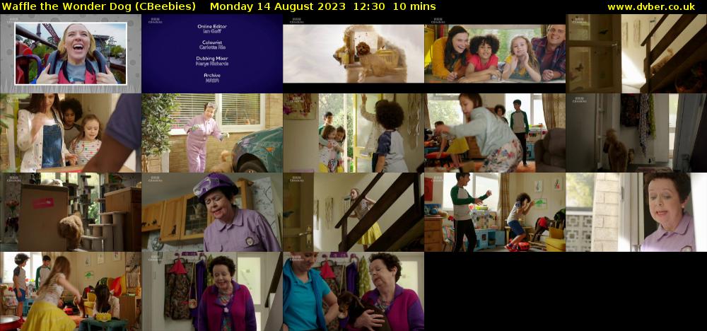 Waffle the Wonder Dog (CBeebies) - 2023-08-14-1230