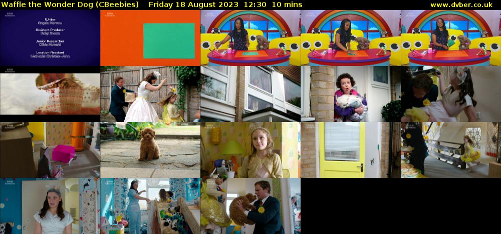 Waffle the Wonder Dog (CBeebies) - 2023-08-18-1230