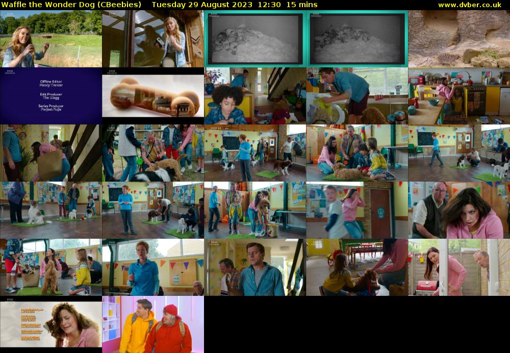 Waffle the Wonder Dog (CBeebies) - 2023-08-29-1230