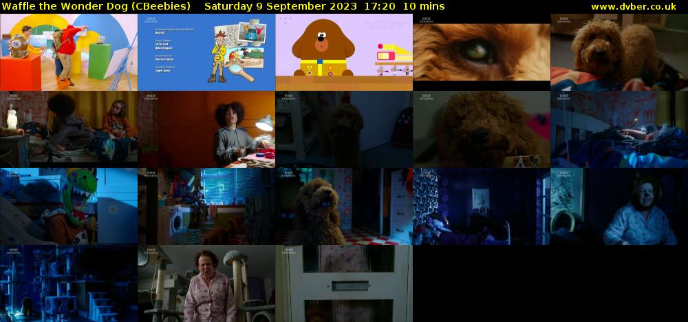 Waffle the Wonder Dog (CBeebies) - 2023-09-09-1720